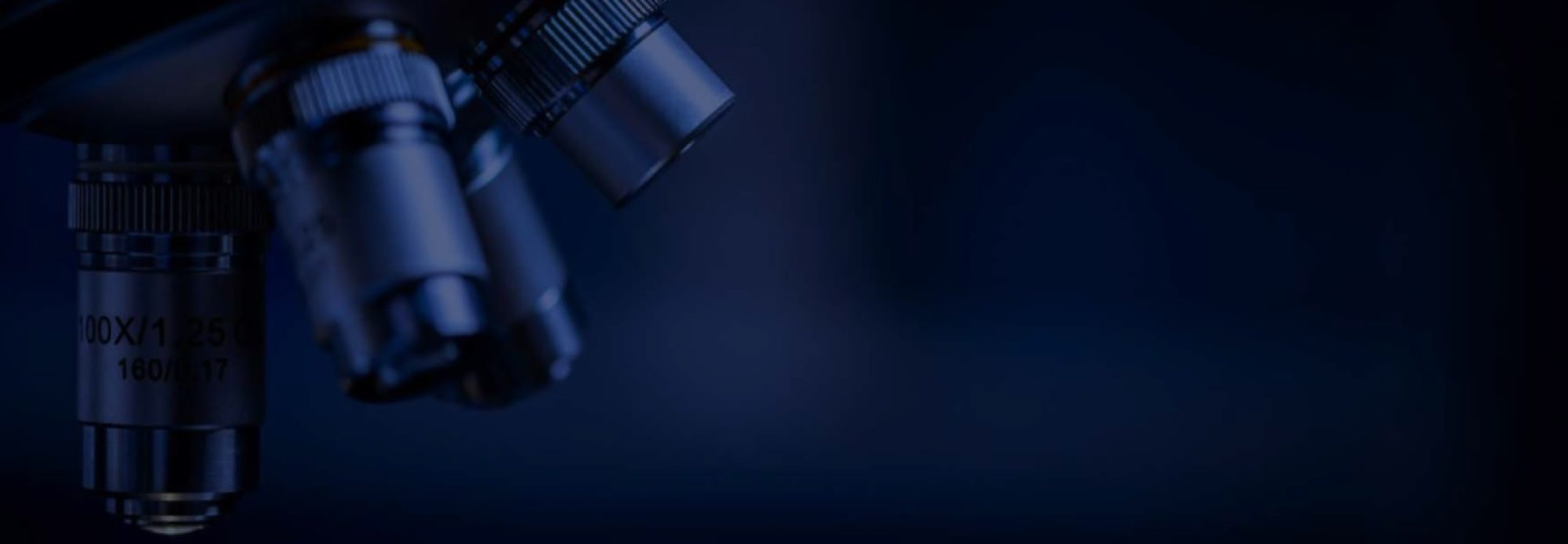 ZipZinc – A Breakthrough in Cancer Treatment